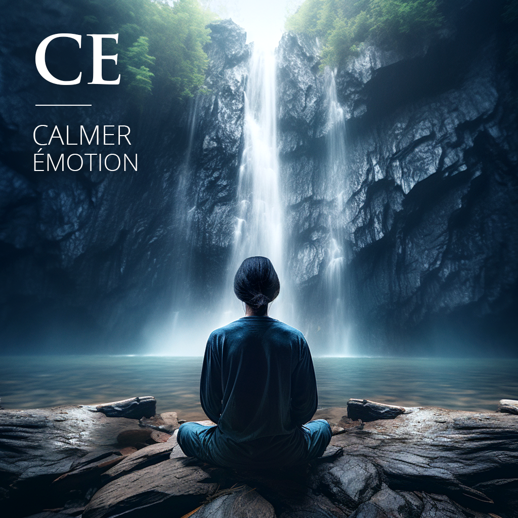 CALMER ÉMOTION : L'art d'apaiser ses émotions et celles des autres